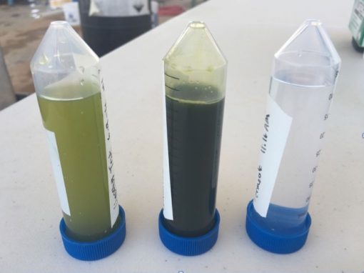 LIQOFLUX | World Leader in Algae Harvesting